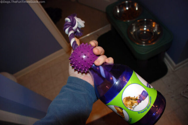 Tug-A-Jug Is An Indestructible Dog Toy That's Far Better Than Letting ...